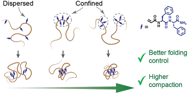 Confinement of folding motifs within central blocks improves single ...