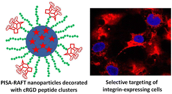 Synthesis of cRGD peptide cluster-decorated NIR-fluorescent PISA-RAFT ...