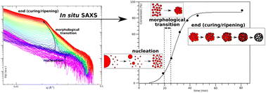 In situ SAXS investigation of vinyl acetate polymerization-induced self ...