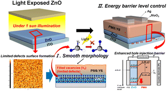 Facile light exposure of zinc oxide via interfacial engineering for ...