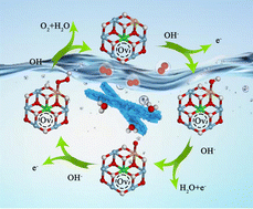 Boosting electrocatalytic water oxidation by vanadium–iron–nickel ...