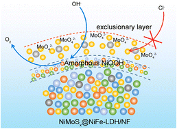 Highly efficient and stable oxygen evolution from seawater enabled by a ...