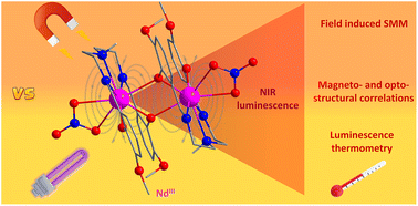 The role of terminal ligands in the slow relaxation of magnetisation ...