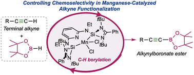 Chemoselective C(sp)–H borylation of terminal alkynes catalyzed by a ...