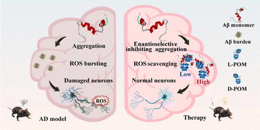 Enantioselective modulation of amyloid burden and memory deficits by ...