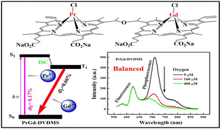 Balancing the phosphorescence and fluorescence of a double-ring ...