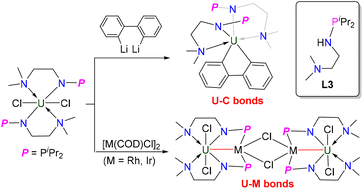 Synthesis and reactivity of a uranium(iv) complex supported by a ...