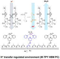 Protonic nanoenvironment engineering for tuning the electrocatalytic ...