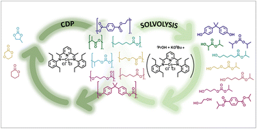 Divergent methods for polyester and polycarbonate depolymerization with ...