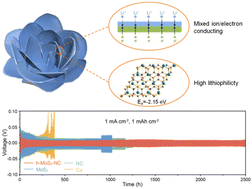 “Three in one” 3D mixed skeleton design enables dendrite-free Li metal ...