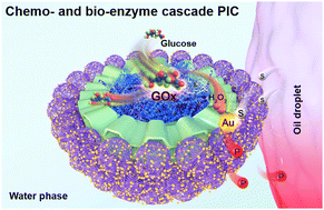 Multifunctional integrated compartment systems for incompatible ...
