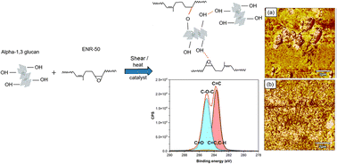 Sustainable natural rubber composites: masterbatch development of ...