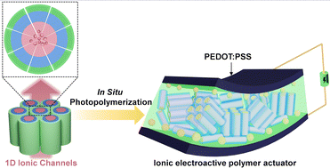 Ionic electroactive PEDOT:PSS/liquid-crystalline polymer electrolyte actuators ...