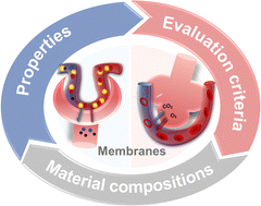 The separation membranes in artificial organs - Materials Chemistry ...