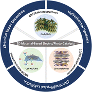 Heterostructured 2D material-based electro-/photo-catalysts for water ...
