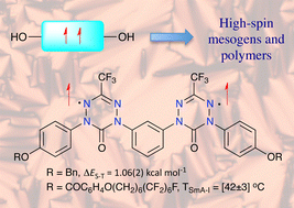 Mesogenic behavior of a 6-oxoverdazyl diradical: towards organic high ...