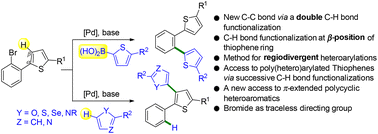 Double C–H bond functionalization for C–C coupling at the β-position of thiophenes using ...