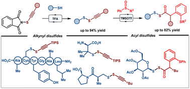 Construction of alkynyl and acyl disulfides directly through thiol-modification with N ...