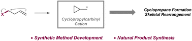 Cyclopropylcarbinyl cation chemistry in synthetic method development ...