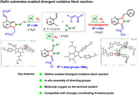 Ligand-assisted olefin-switched divergent oxidative Heck cascade with ...