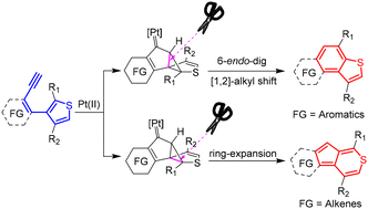 Selective 6-endo-dig and ring-expansion cycloisomerizations of ortho ...
