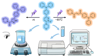 In situ fluorescence visualizing of a temperature-dependent ...