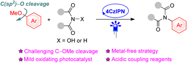 Photocatalytic C(sp2)–OMe bond cleavage and amidation of anisoles with ...