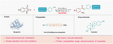Electrochemical chemoselective hydroxyl group transformation ...