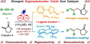 Regio- and stereoselective divergent cross-coupling of alkynes and ...