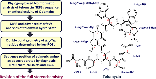 Revision of the full stereochemistry of telomycin - Organic Chemistry ...