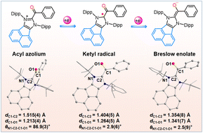 Isolation and characterization of an annelated N-heterocyclic carbene ...