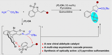 Stereoselective synthesis of Δ(1)-pyrroline sulfonamides via a chiral ...