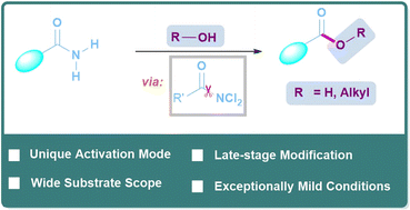 Interception of RCONCl2: late-stage hydrolysis and esterification of ...
