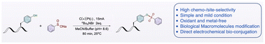 Electro-induced O–S bonding reaction targeting biological ...