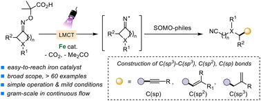 Iron-catalyzed fragmentation-alkynylation, -alkenylation and ...