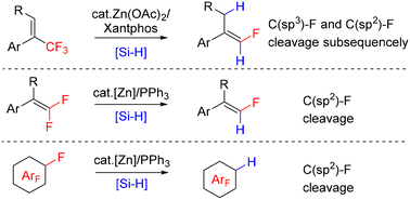 Stereoselective hydrodefluorination of CF3-substituted alkenes and gem ...