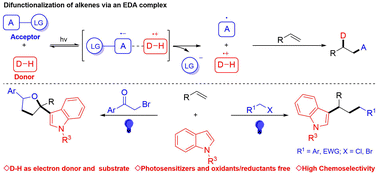 Photo-induced 1,2-alkylarylation/cyclization of alkenes, alkyl halides ...