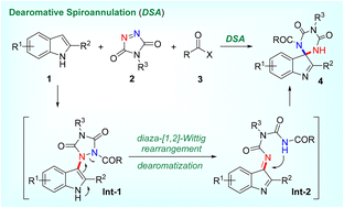 Dearomative spiroannulation of indoles enabled by the diaza-[1,2 ...