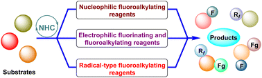 Recent advances in N-heterocyclic carbene (NHC)-catalyzed fluorination ...