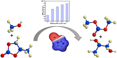 Homogeneous base catalyst with high activity and stability for ...