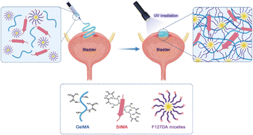 Injectable, stretchable, toughened, bioadhesive composite hydrogel for ...