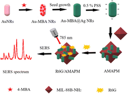 An accuracy improved ratiometric SERS sensor for rhodamine 6G in chili ...