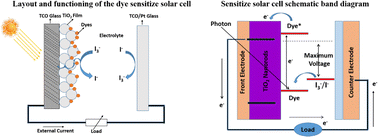 Research on dye sensitized solar cells: recent advancement toward the ...