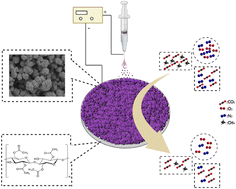 Asymmetric membranes for gas separation: interfacial insights and ...