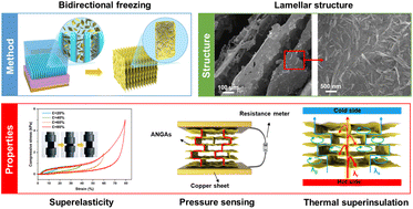 Ultralight elastic Al2O3 nanorod-graphene aerogel for pressure sensing and thermal ...