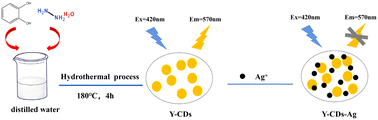 Yellow emissive nitrogen-doped carbon dots as a fluorescence probe for the sensitive and ...