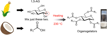 High-temperature solvent-free synthesis of low-molecular-weight ...
