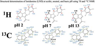 pH-dependent structural characteristics of lonidamine: 1H and 13C NMR ...