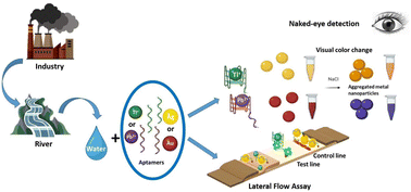 Aptamer-based colorimetric and lateral flow assay approaches for the ...