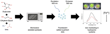 Carbon dots using a household cleaning liquid as a dopant for iron ...
